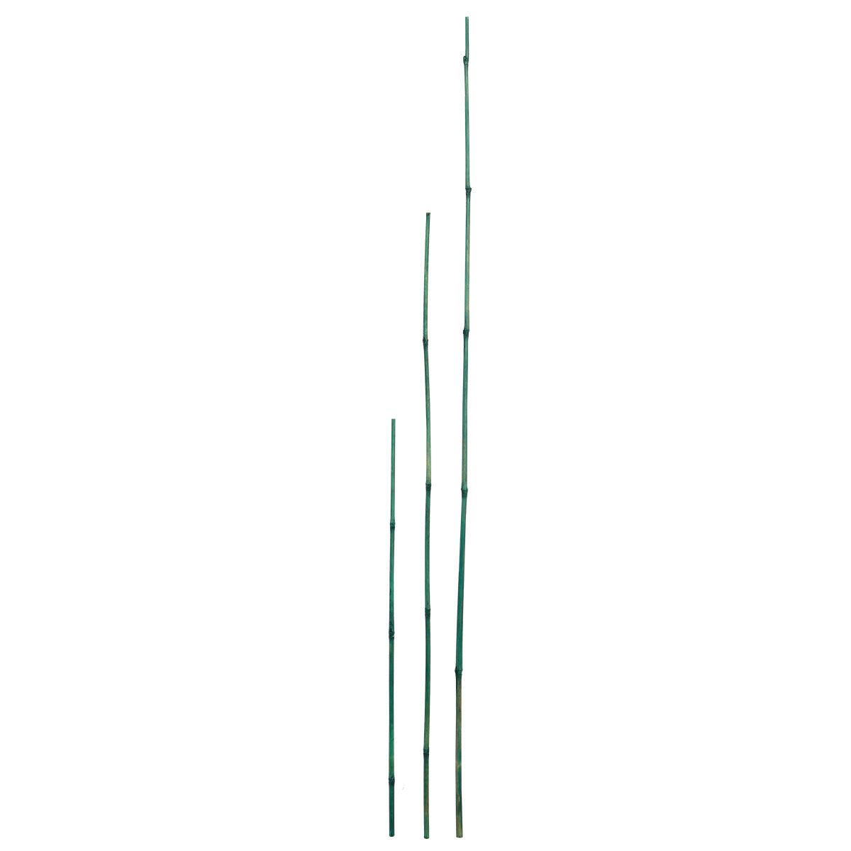 6 ft. Green Bamboo Stakes, 6-Pack — Ellington Agway