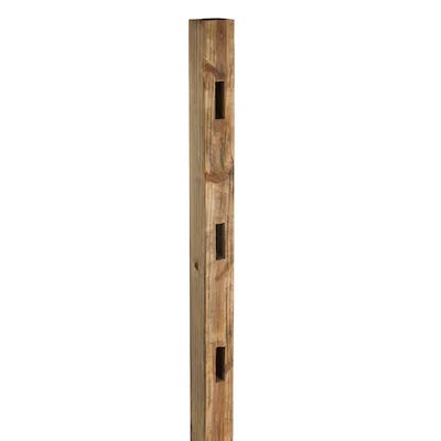 Split Rail Fencing, 3-Hole End Post — Ellington Agway