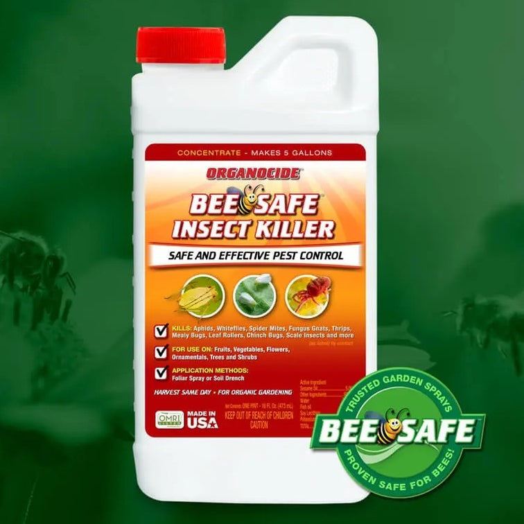 Organocide Bee Safe Insect Killer 16 oz. Concentrate — Ellington Agway