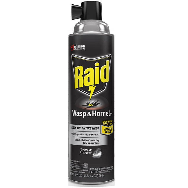 Raid® Wasp & Hornet Killer Aerosol, 17.5 oz. — Ellington Agway